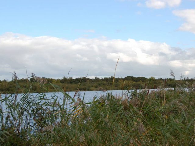 Biomanipulation - Hoveton Great Broad